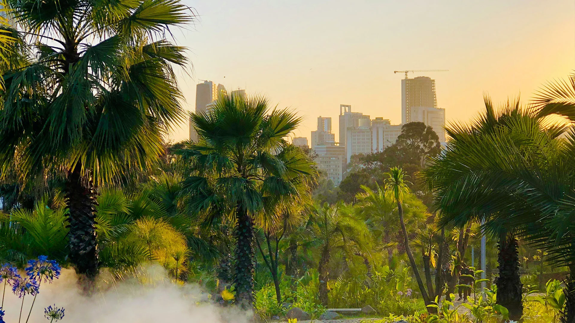 Business Class Flights to Addis Ababa | Save Up to 60%